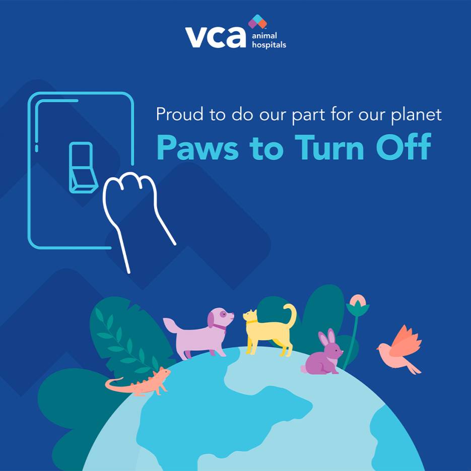 Climate Change | VCA 2021 Impact Report